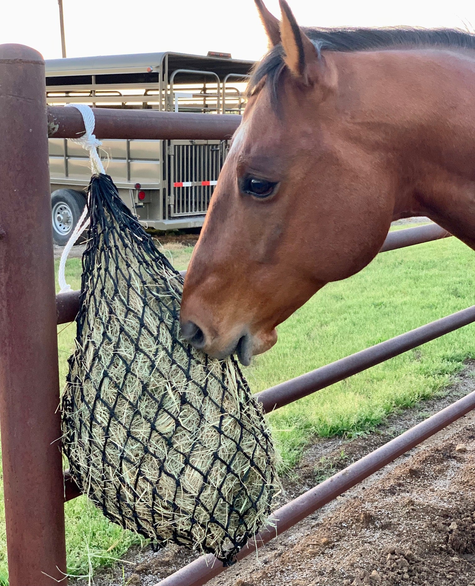Stable Supplies – Smart Horse Gear